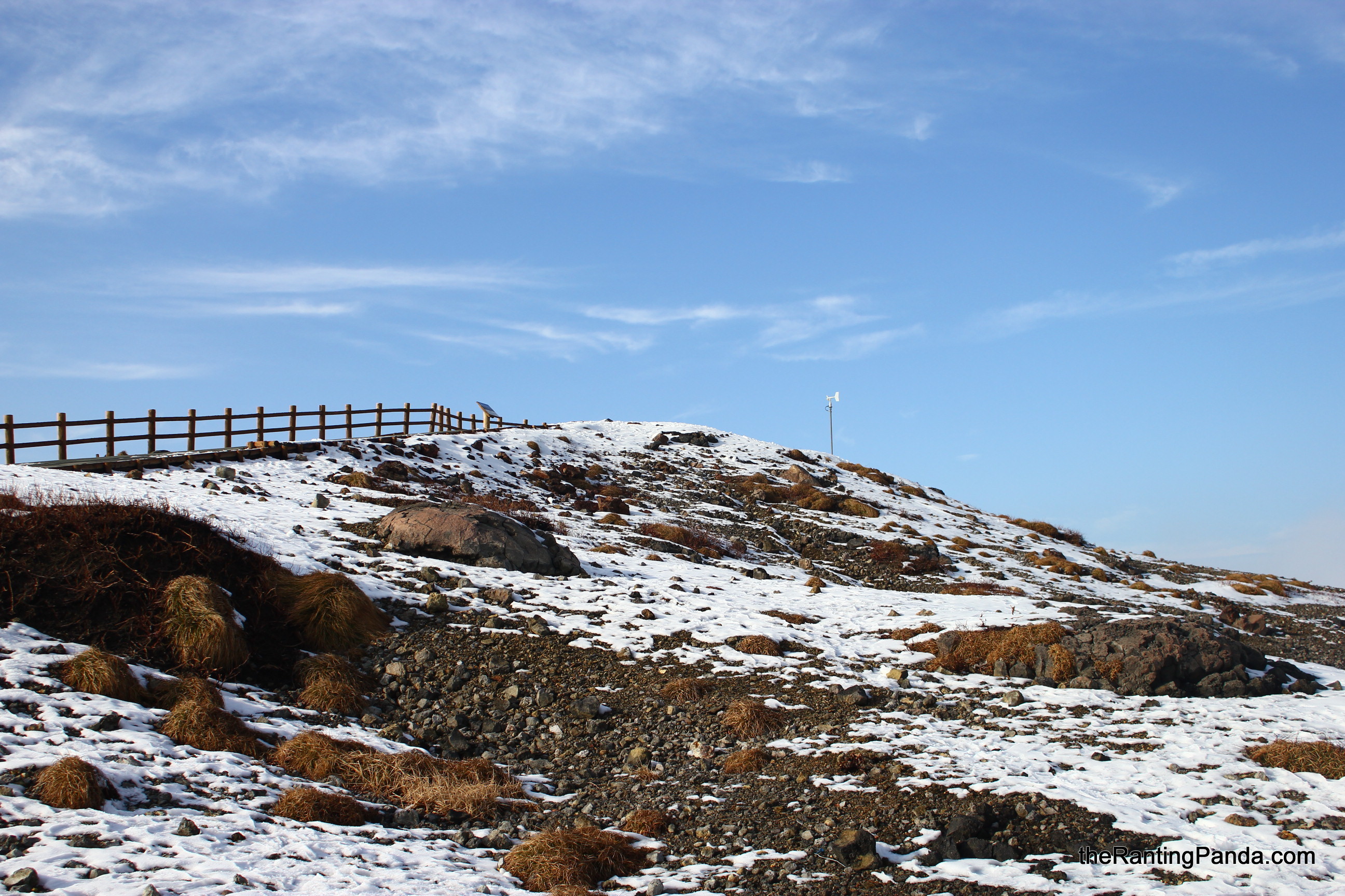 Panda Picks: The Top Things To See And Do In Kyushu, Japan | From ...