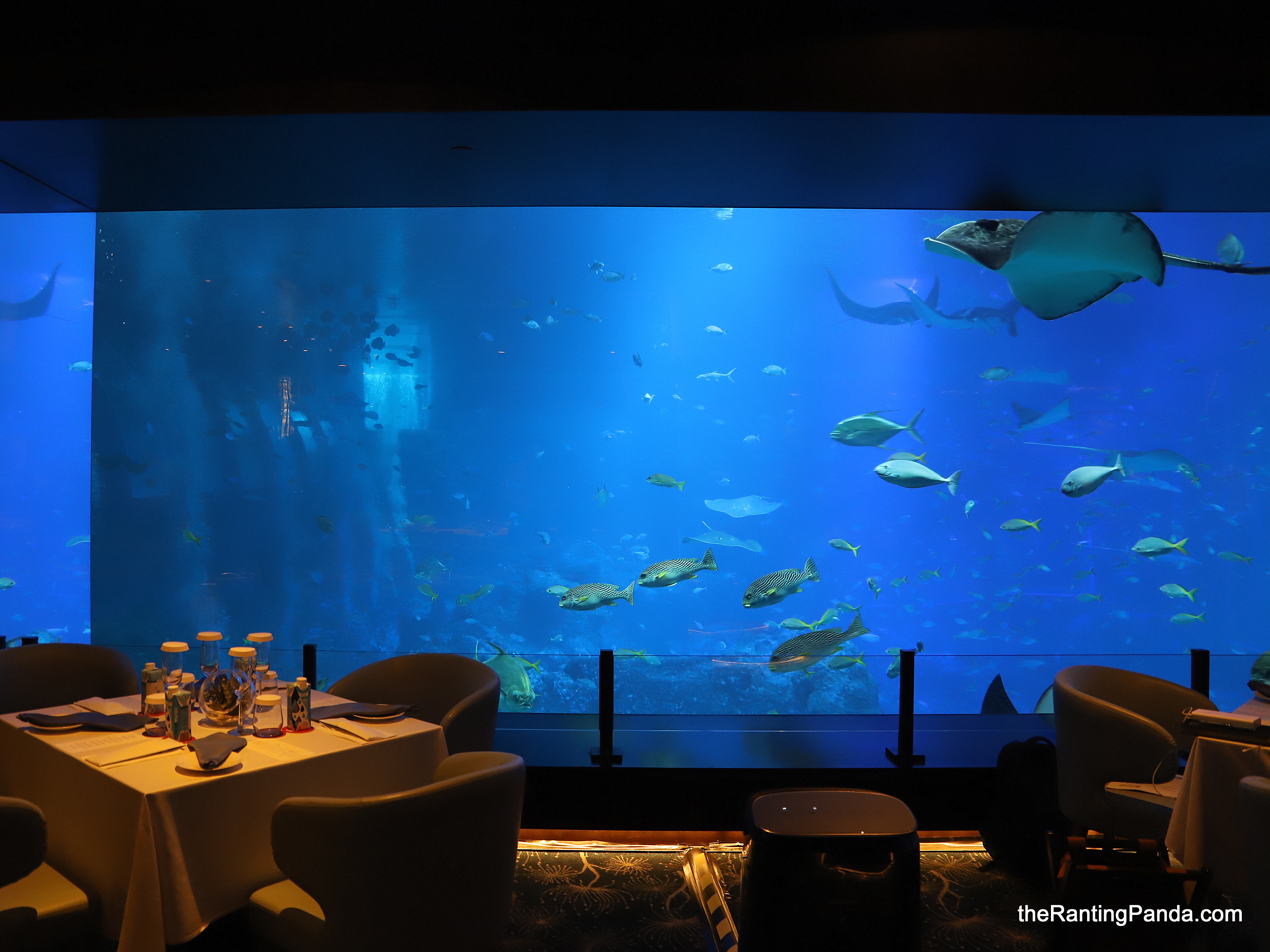 Food Review: Ocean Restaurant At Resorts World Sentosa (RWS) | Finding ...