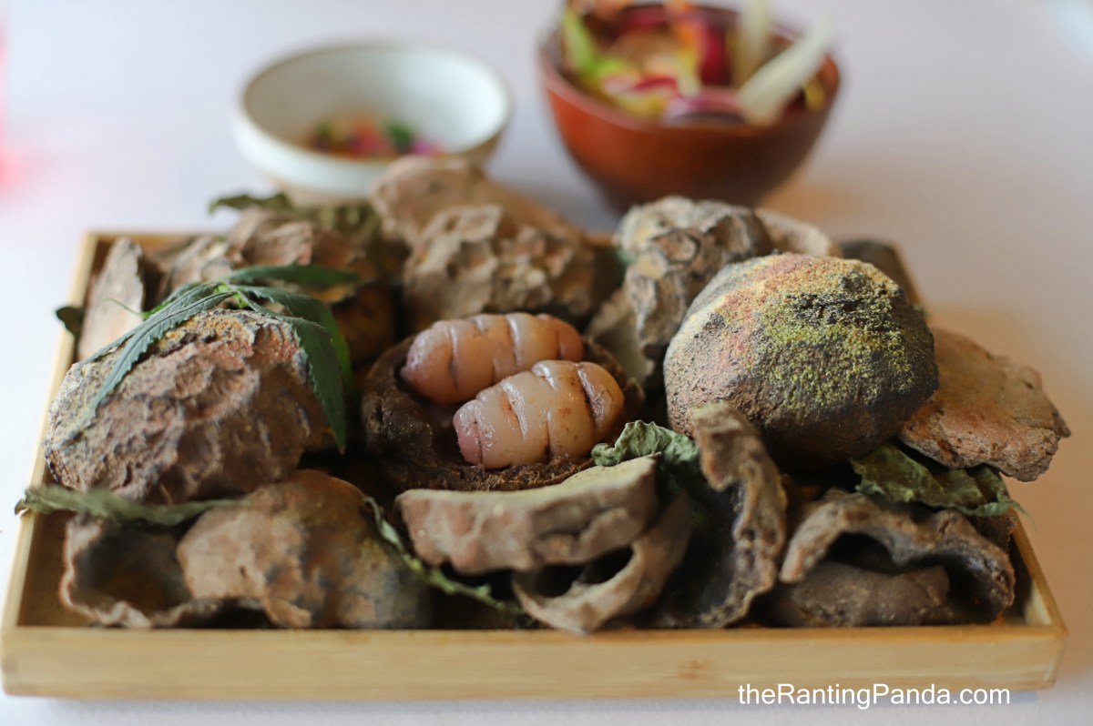 Food Scoops: Mandala Masters Presents MASL (Meters Above Sea Level) | A ...