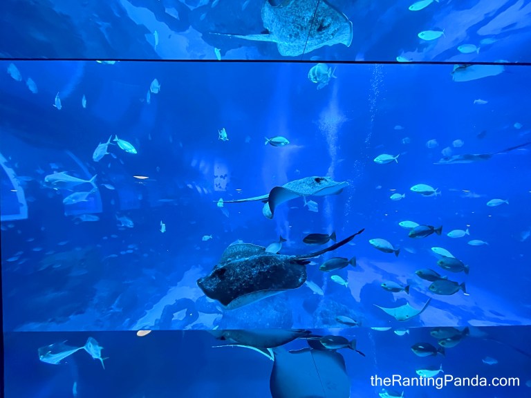 Food Review: Ocean Restaurant, Resorts World Sentosa (RWS) | Aquarium ...