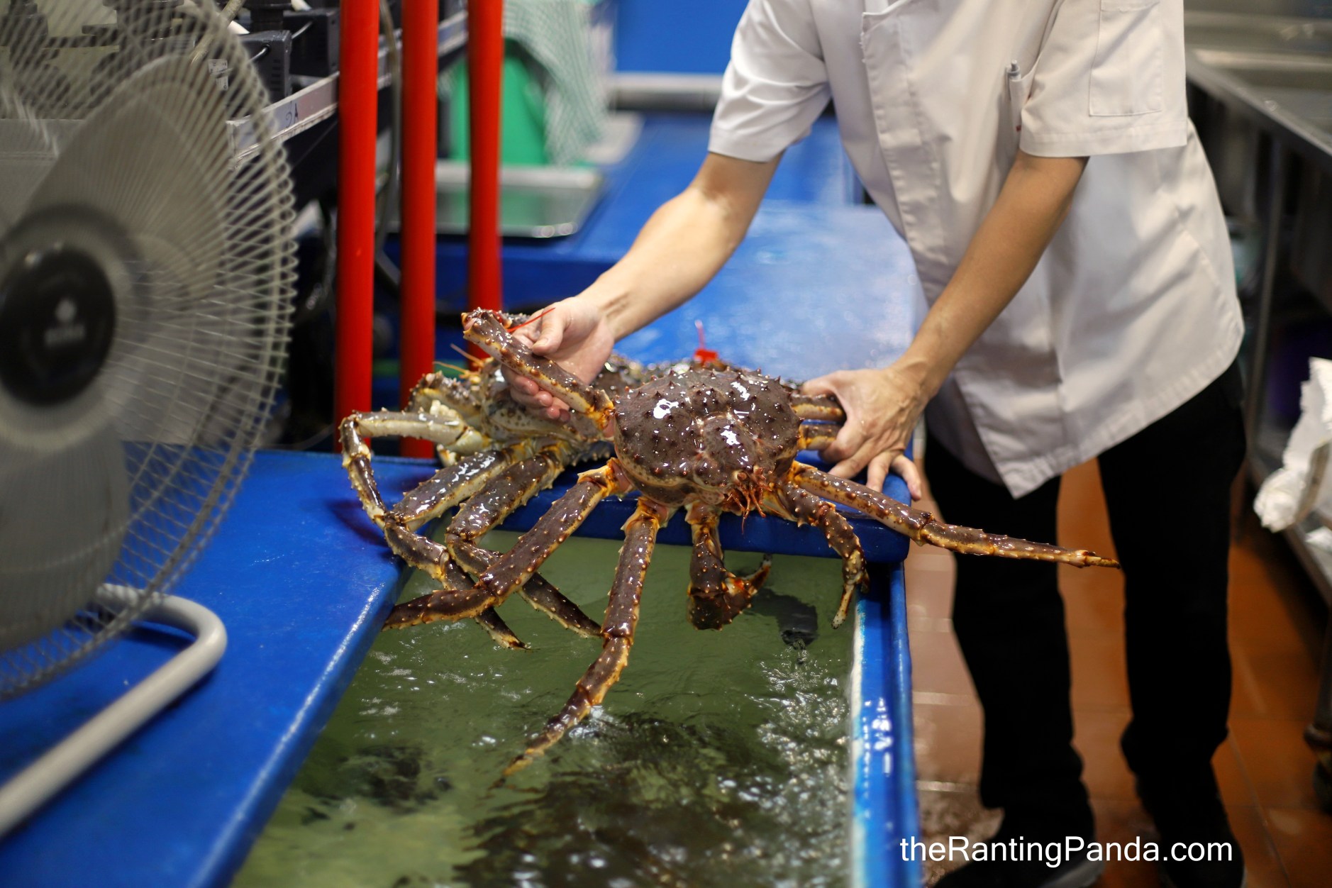 Food Review: Red House Seafood At The Esplanade | Nanyang-Style Seafood ...